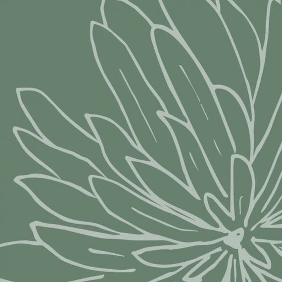 About Yellowhawk - Yellowhawk Tribal Health Center