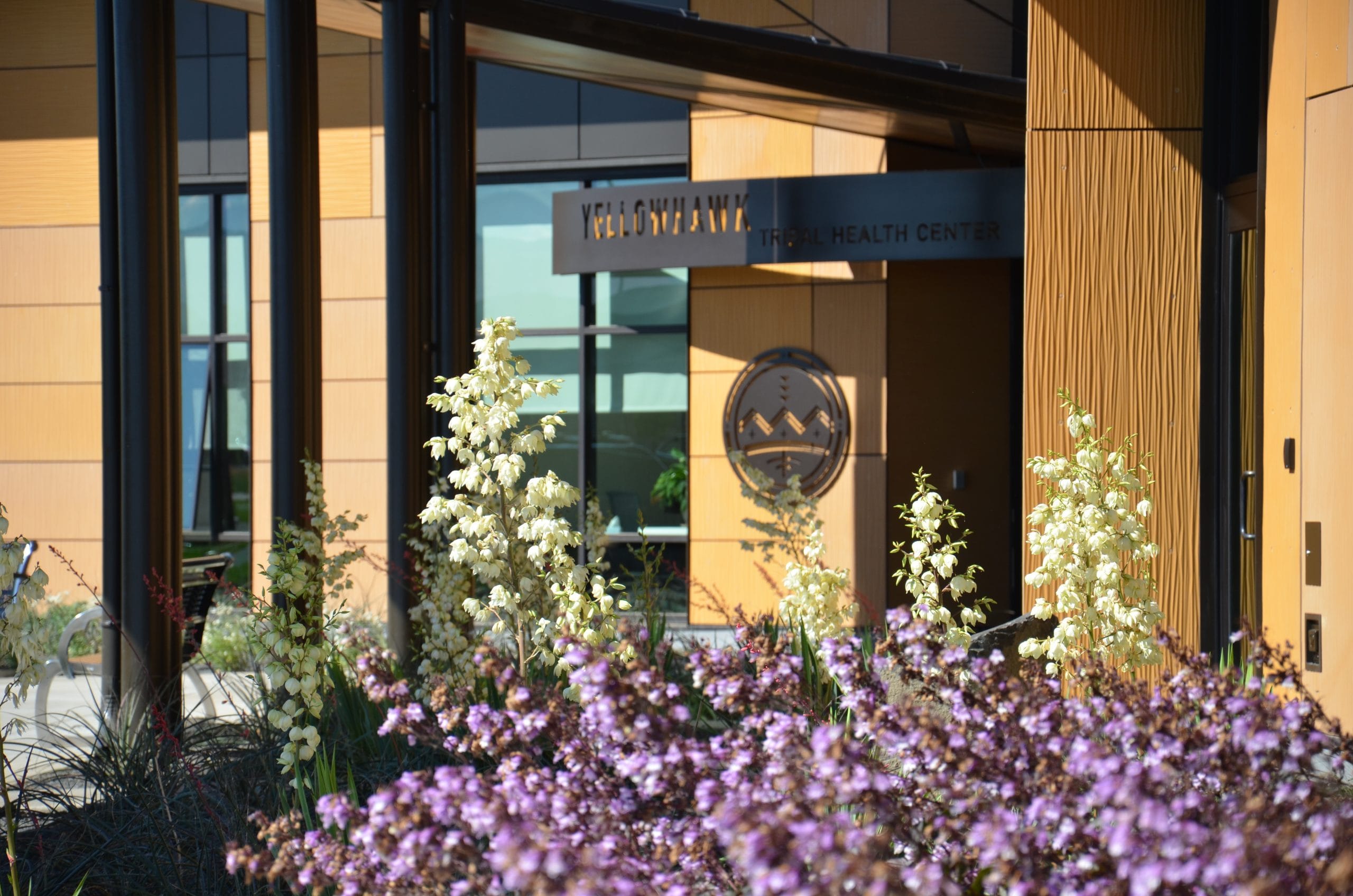 Newsletter 3 - Yellowhawk Tribal Health Center